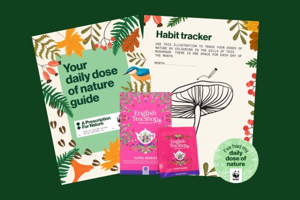Free Daily Dose of Nature Pack | WWF UK